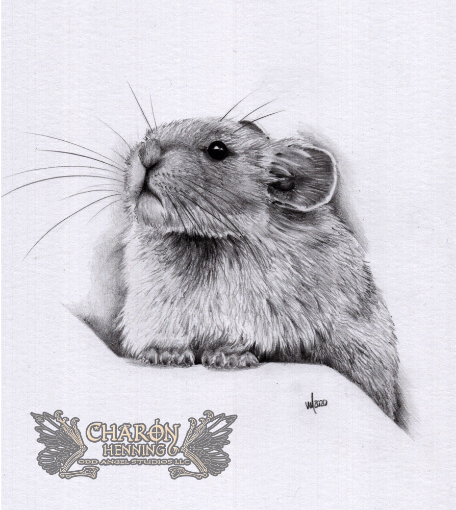 Graphite - Science and Stories Drawn Together