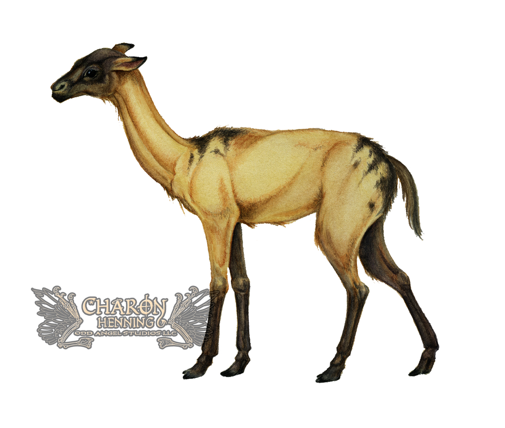 Paleo Art - Science and Stories Drawn Together