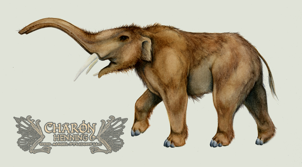 Paleo Art - Science and Stories Drawn Together